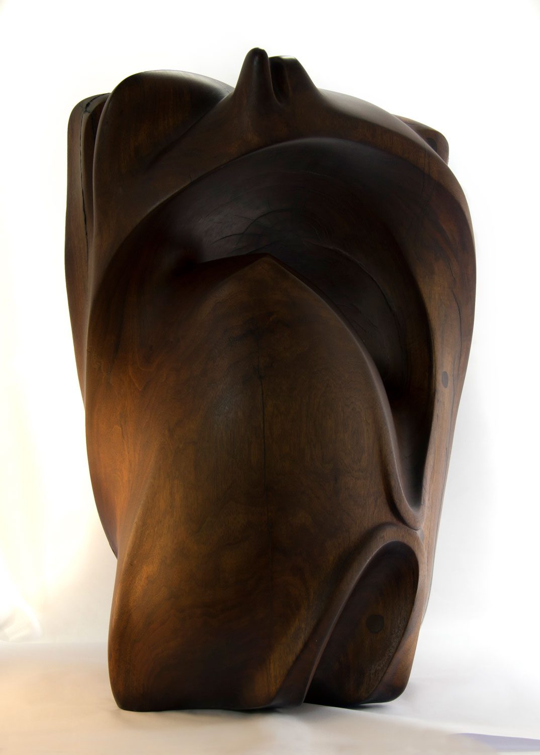 1986-Ralph Baney-Evolution – Central Bank Museum